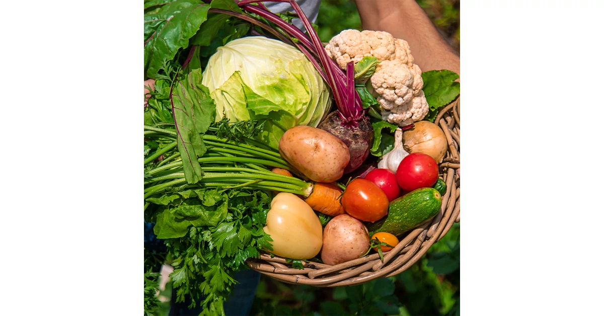 Terméshozam növelők - Természetbarát kertészeti webáruház - www.shop ...