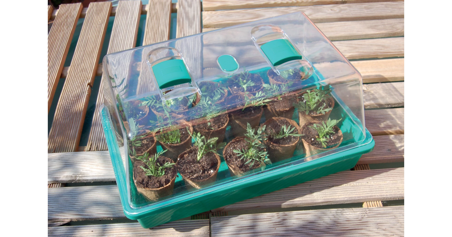 Nortene Rapid Grow Mini Üvegház Palántáknak 38 x 24 x 18 cm